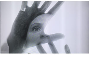 THE PATH TO SUCCESS: STAGE ONE. | Nicholas Wilton